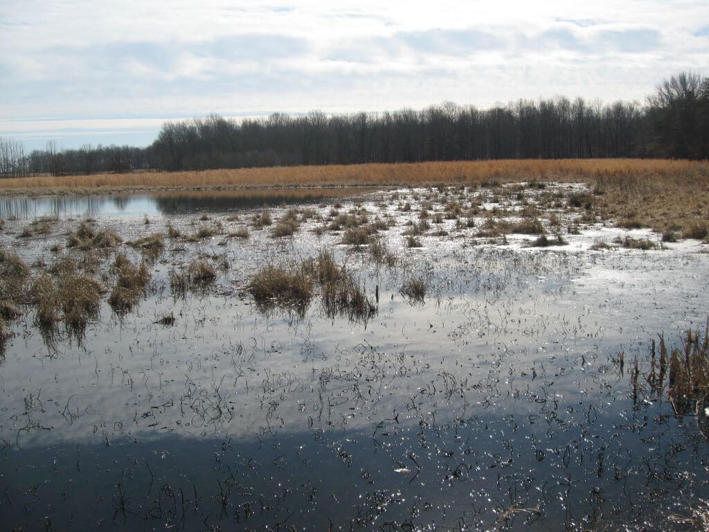 Mudford Farm – Chesapeake Wildlife Heritage