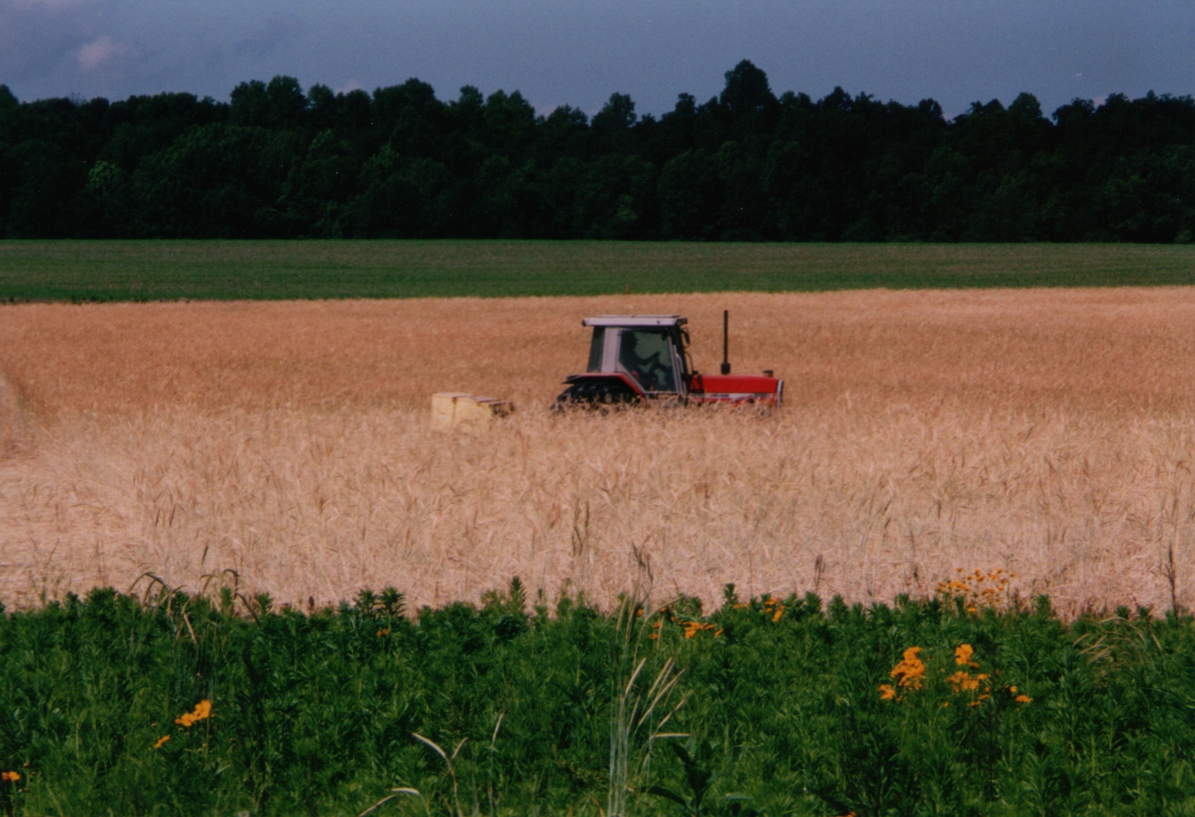 Sustainable Agriculture Program – Chesapeake Wildlife Heritage