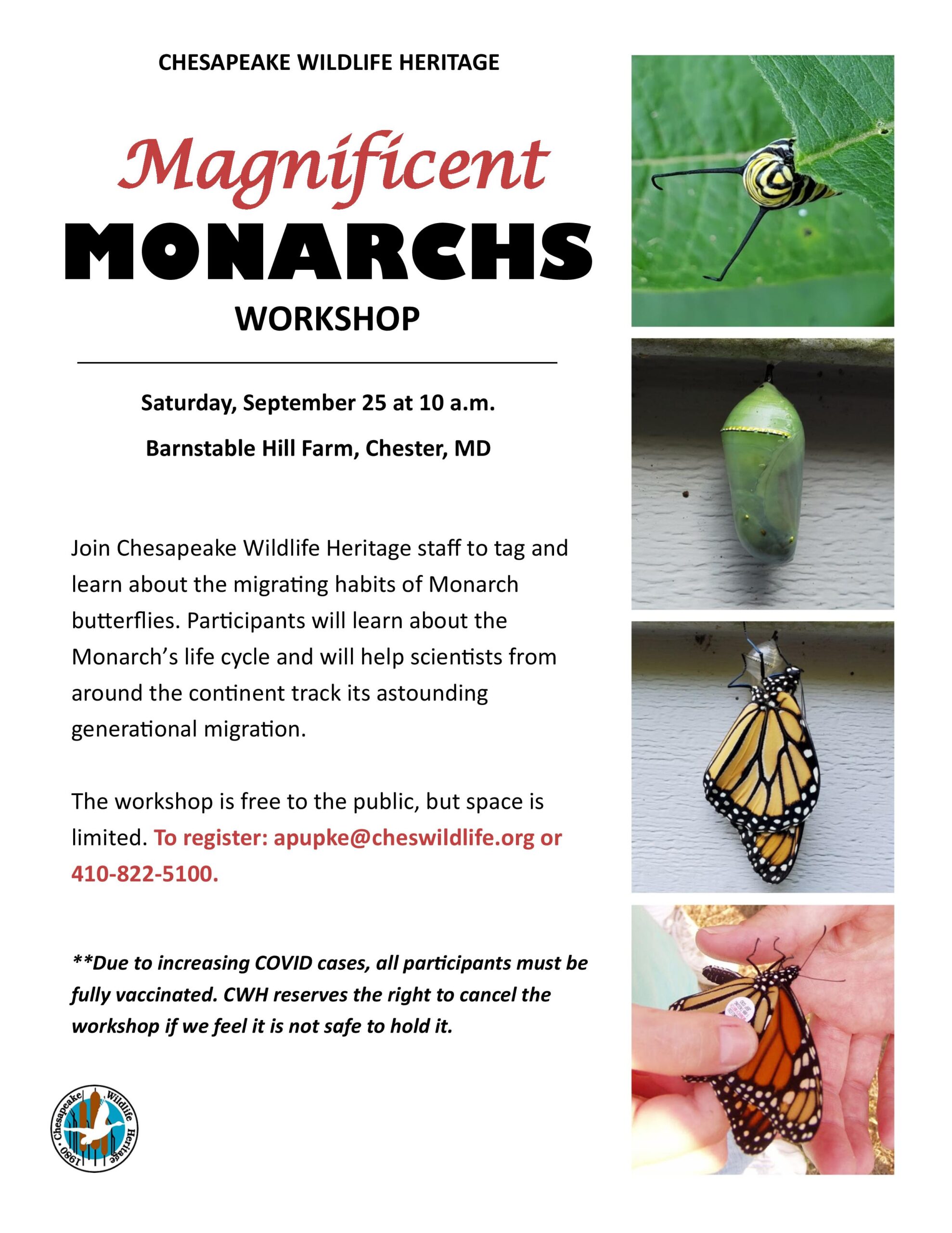 monarch-workshop-flyer – Chesapeake Wildlife Heritage